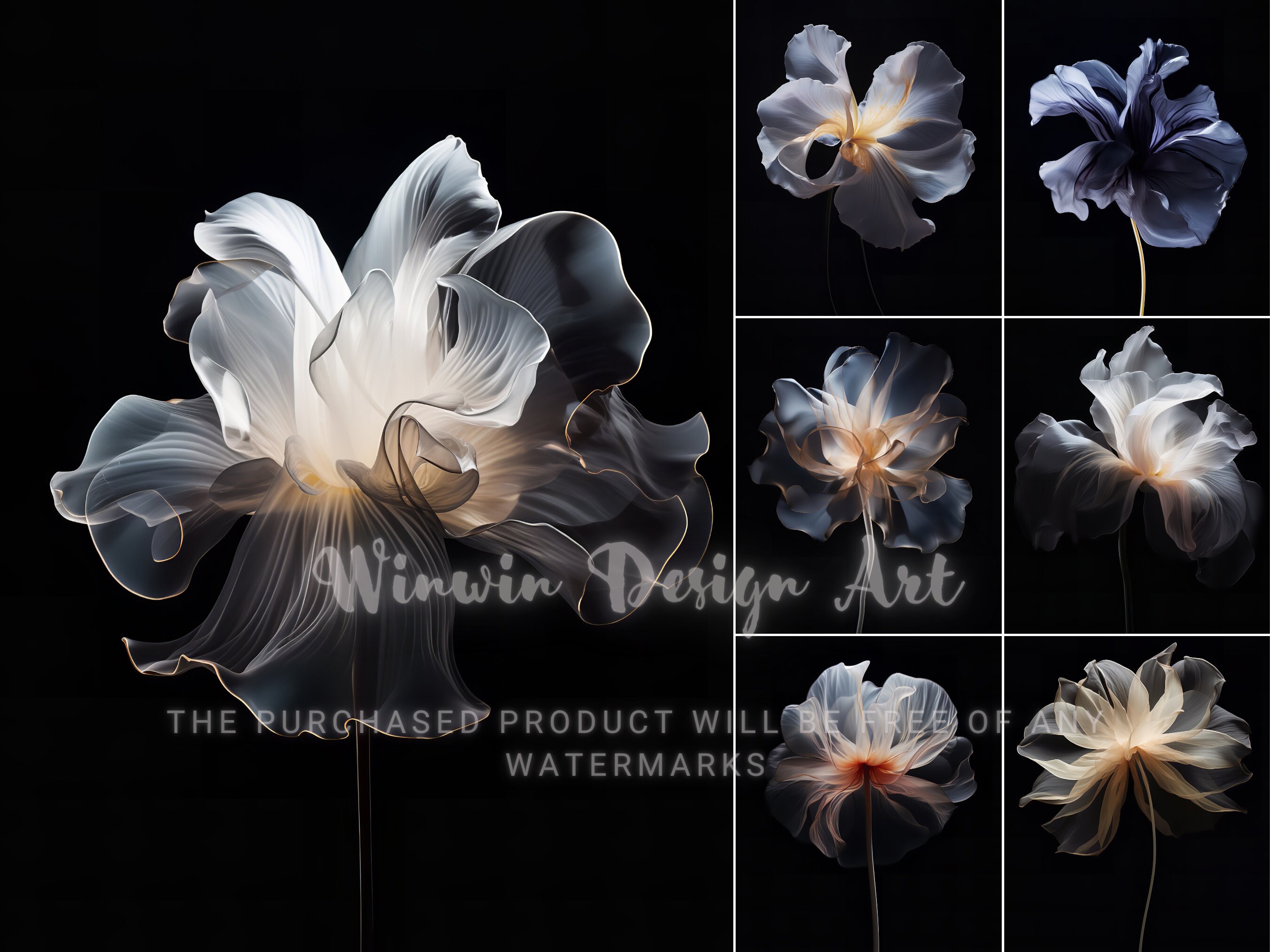 50 Midnight Flower Digital Backdrop Floral Digital Background Black ...