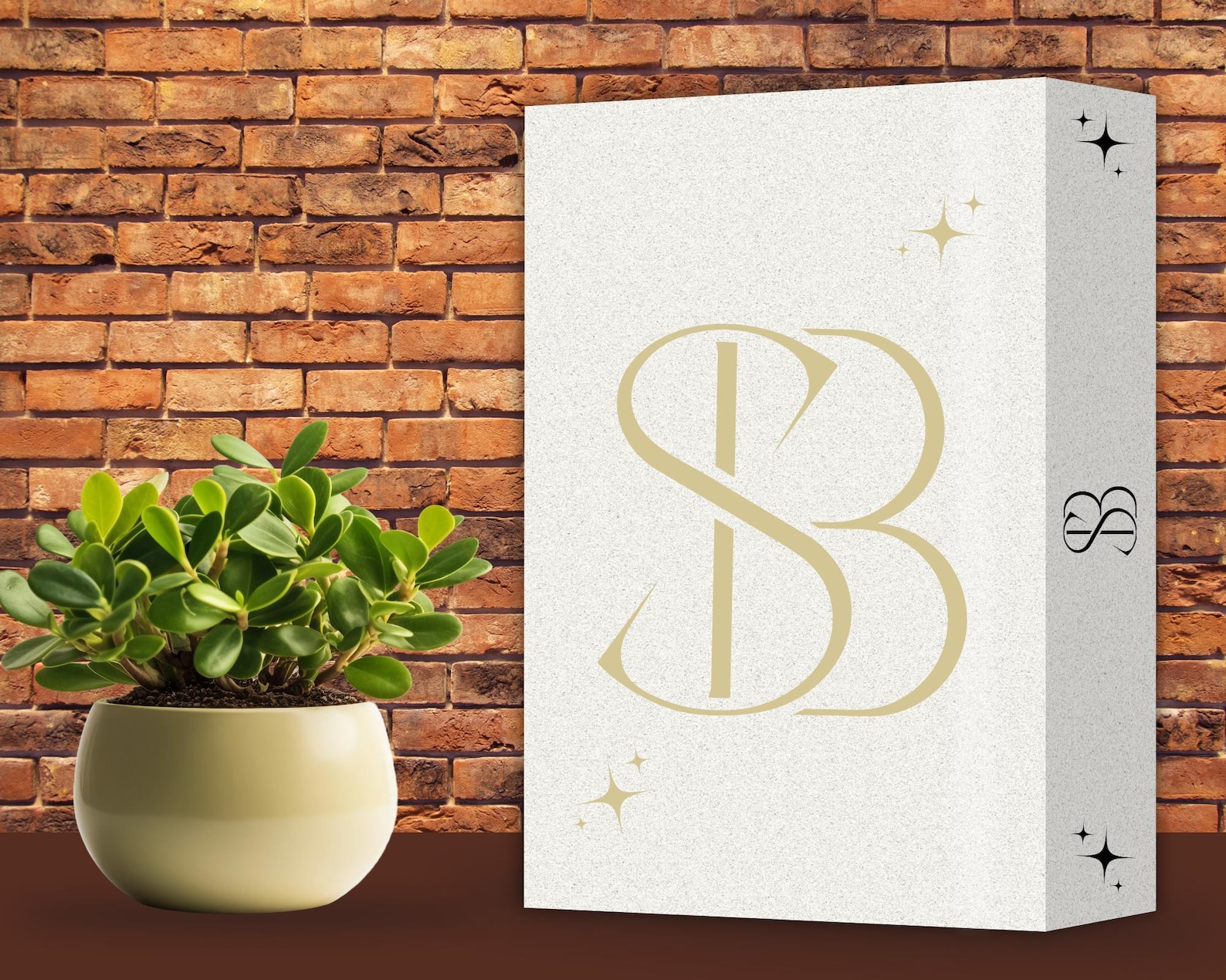 Box Mockup Canva Template, Product Box Mockup Display, DIY Box Template ...