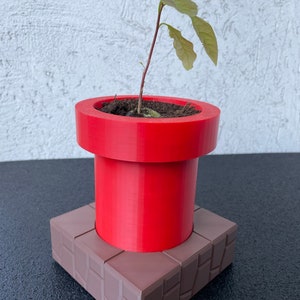 Flower Pot 3D Printed Super Mario Inspired - Etsy