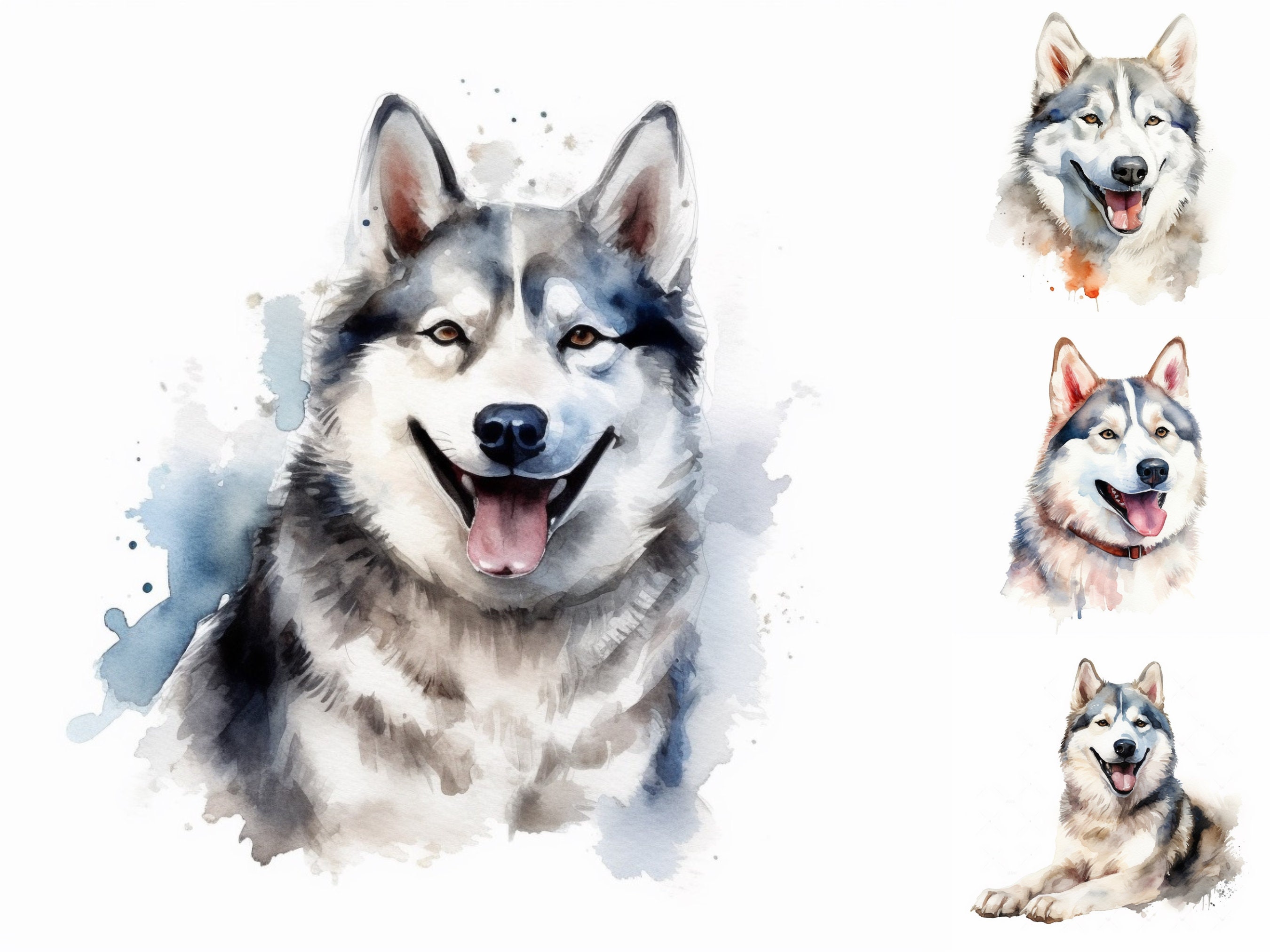 Husky Digital Clipart Pack - 12 High Quality Jpgs - Digital Download ...