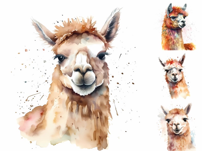 Alpaca Digital Clipart Pack - 12 High Quality Jpgs - Digital Download ...