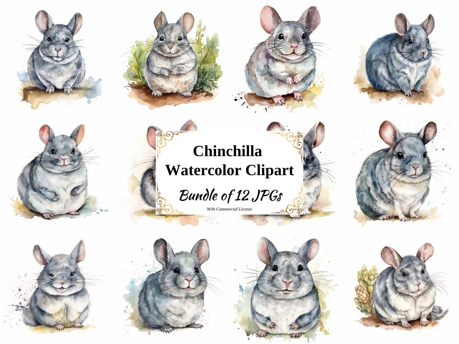 Chinchilla Digital Clipart Pack - 12 High Quality Jpgs - Digital ...