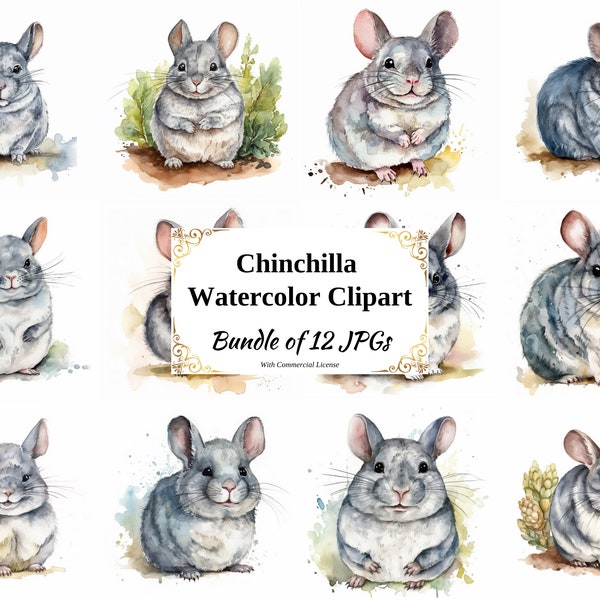 Chinchilla Art - Etsy
