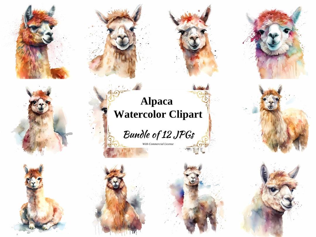Alpaca Digital Clipart Pack - 12 High Quality Jpgs - Digital Download ...