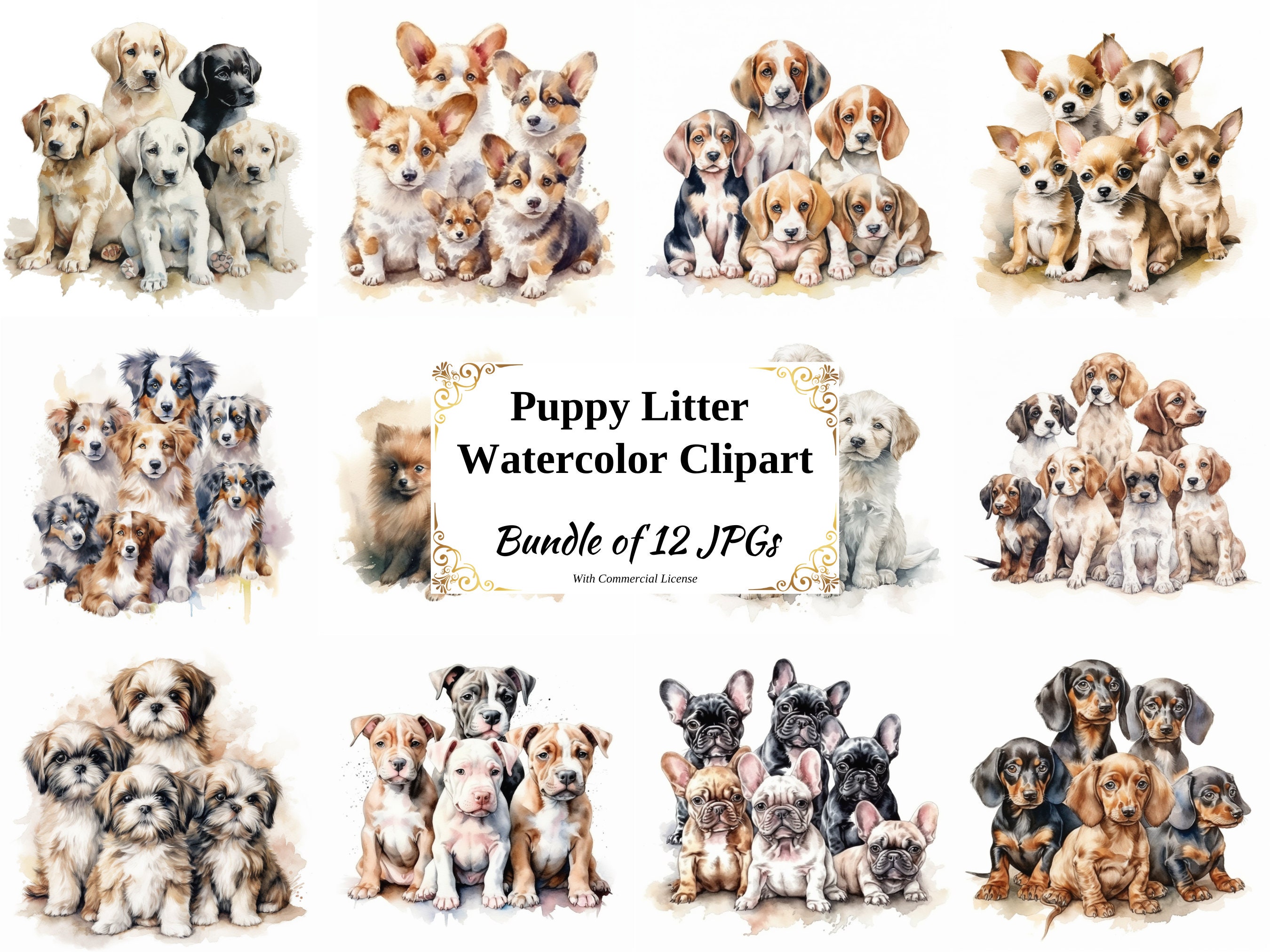 Cute Puppy Litter Digital Clipart Pack - 12 High Quality Jpgs - Digital ...
