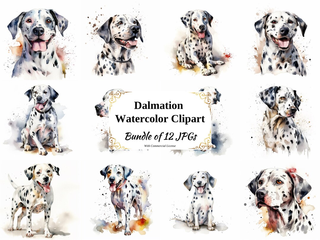 Dalmation Digital Clipart Pack - 12 High Quality Jpgs - Digital ...