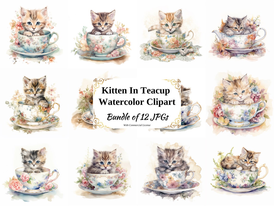 Kitten in Teacup Clipart Pack 12 High Quality Jpgs Set 1 - Etsy