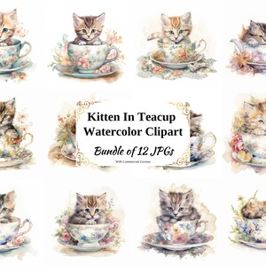 Kitten in Teacup Clipart Pack - 12 High Quality Jpgs - Set 1 - Digital ...