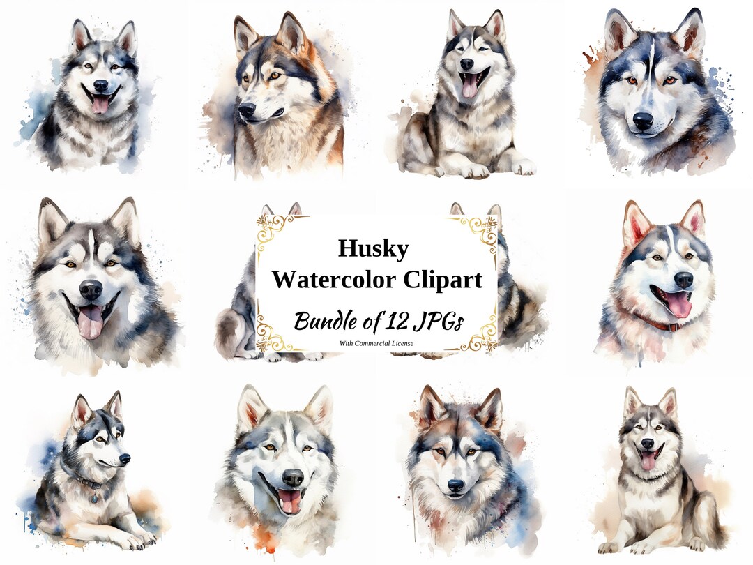 Husky Digital Clipart Pack - 12 High Quality Jpgs - Digital Download ...