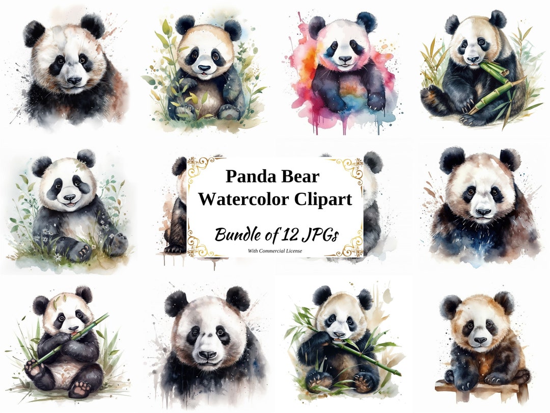Panda Bear Digital Clipart Pack - 12 High Quality Jpgs - Digital ...