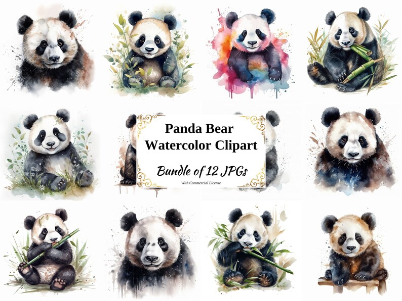 Panda Bear Digital Clipart Pack 12 High Quality Jpgs Digital Download ...