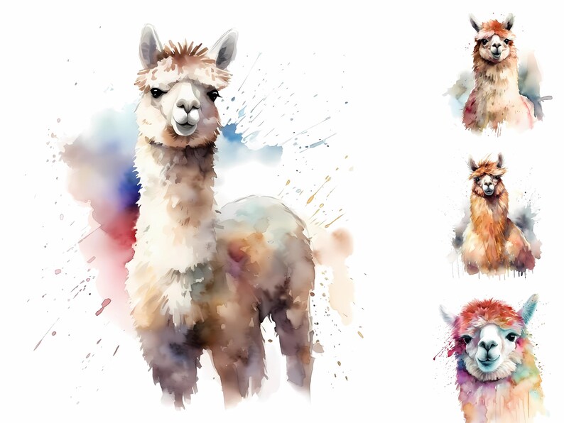 Watercolor Alpaca Clipart Set – 12 JPG Images (digital Download) - Etsy