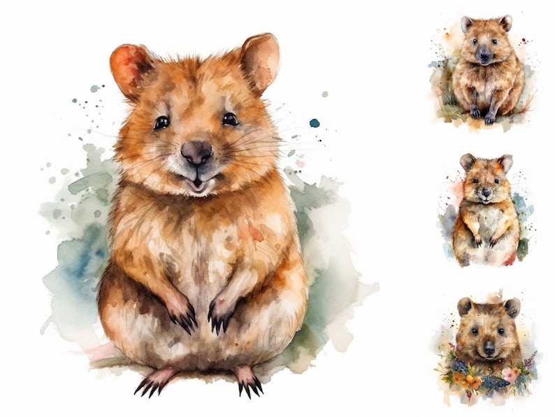 Quokka Watercolor Clipart – 12 JPG Digital Image Pack (commercial ...