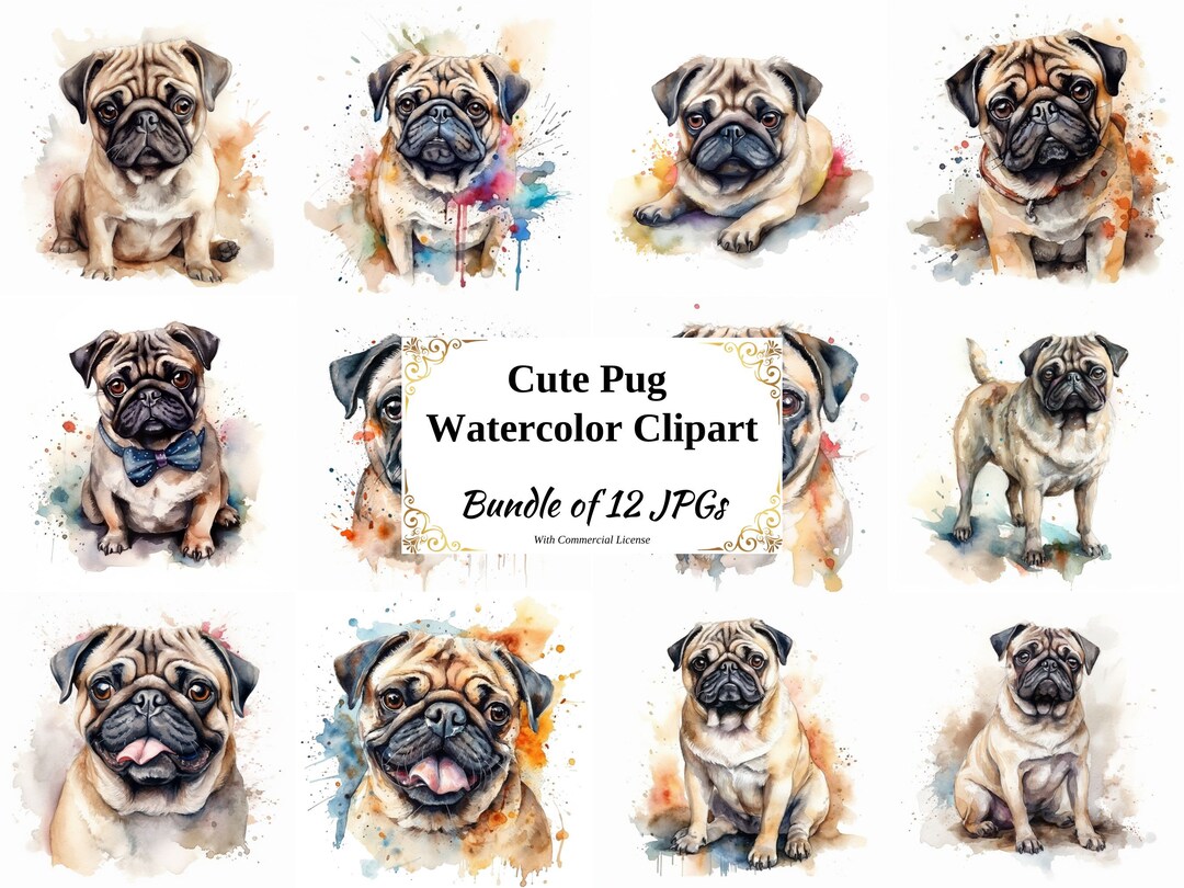Cute Pug Digital Clipart Pack - 12 High Quality Jpgs - Digital Download ...