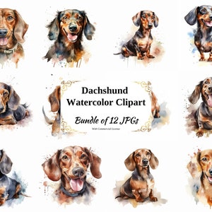 Dachshund Digital Clipart Pack - 12 High Quality Jpgs - Digital ...