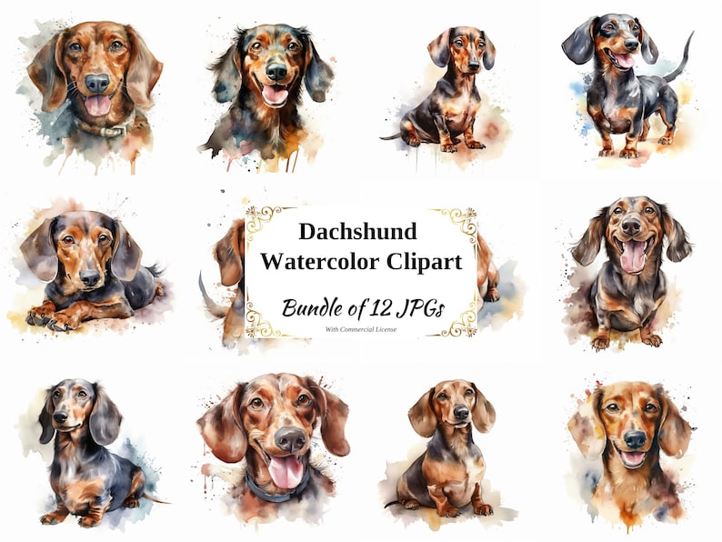 Dachshund Digital Clipart Pack - 12 High Quality Jpgs - Digital ...