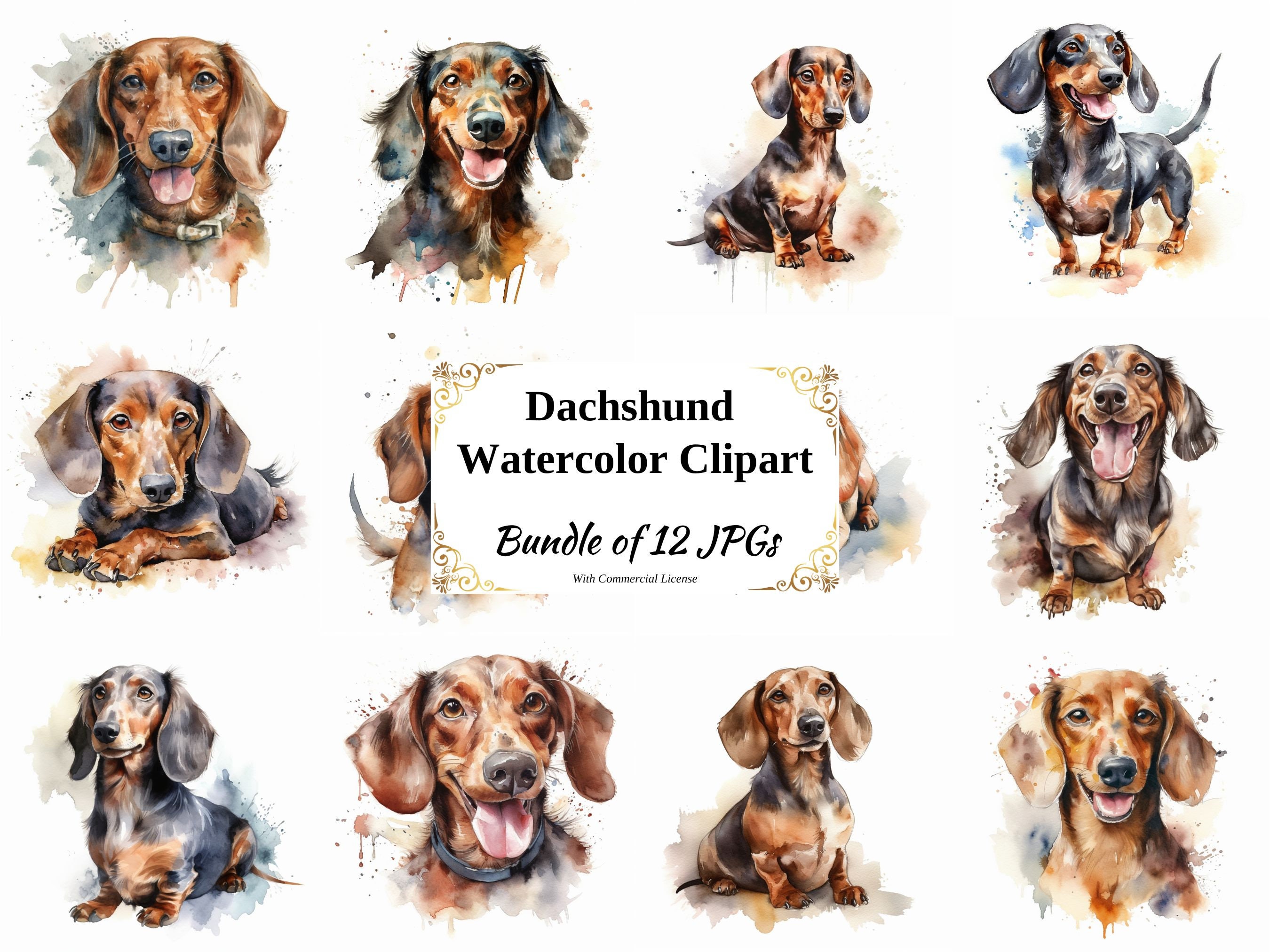 Dachshund Watercolor Clipart – 12 JPG Dog Breed Graphics (digital ...