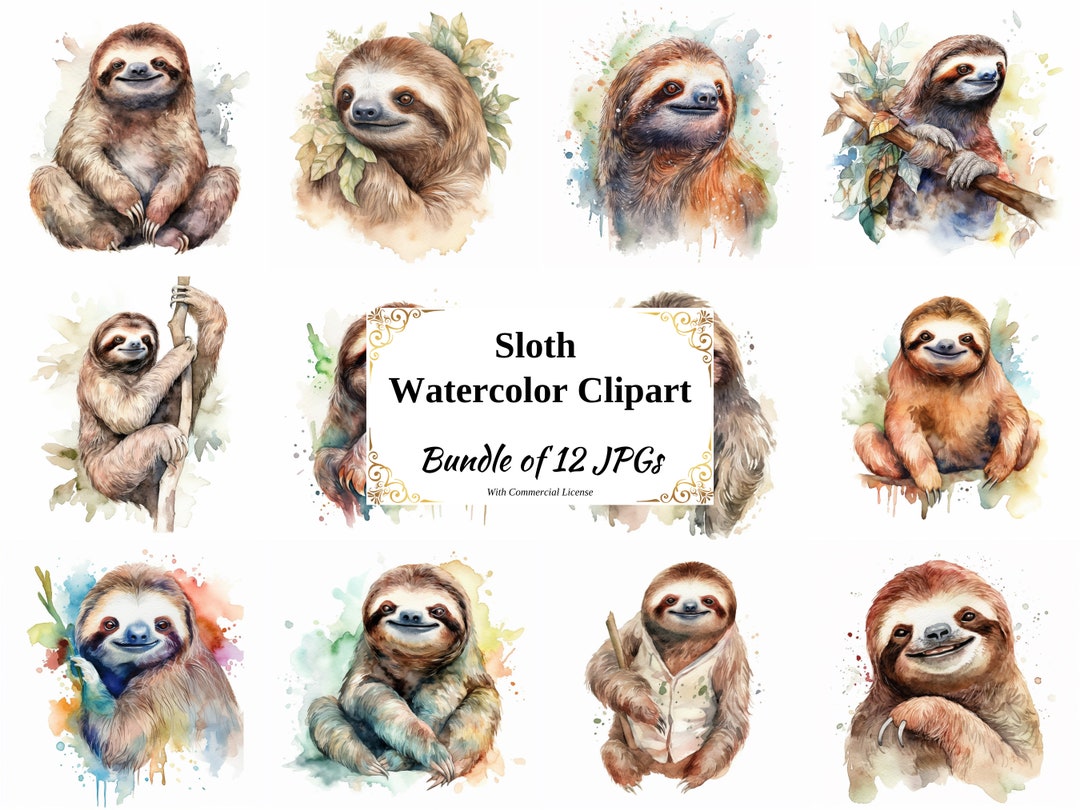 Sloth Digital Clipart Pack - 12 High Quality Jpgs - Digital Download ...