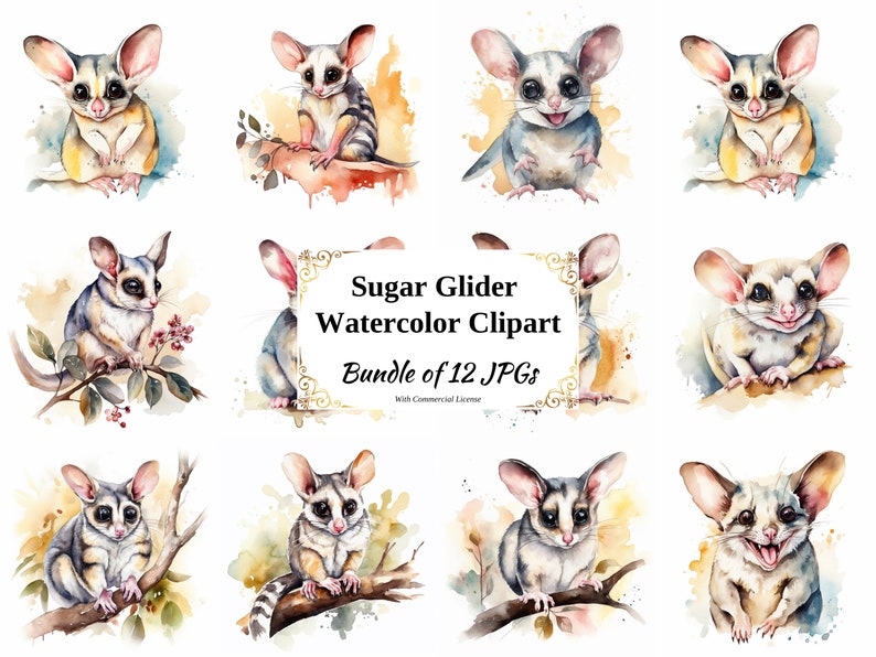 Sugar Glider Digital Clipart Pack - 12 High Quality Jpgs - Digital ...