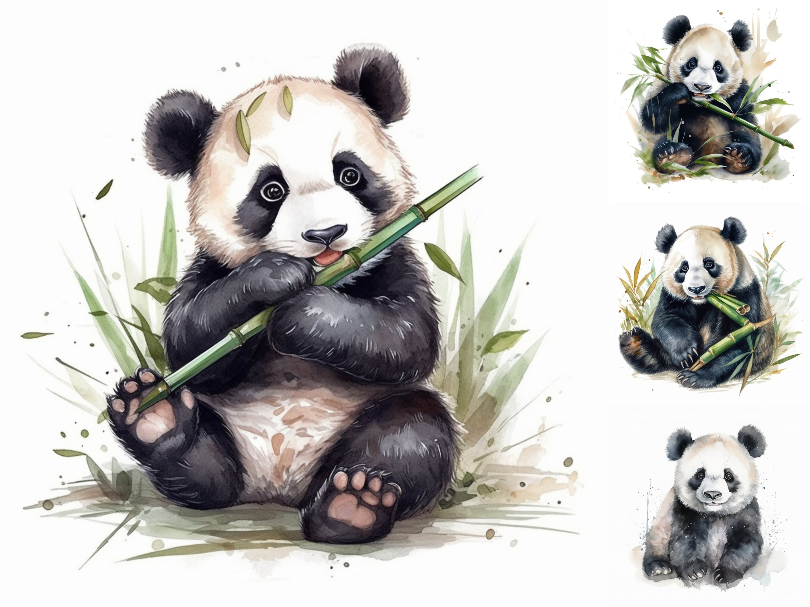 Panda Bear Digital Clipart Pack 12 High Quality Jpgs Digital Download ...
