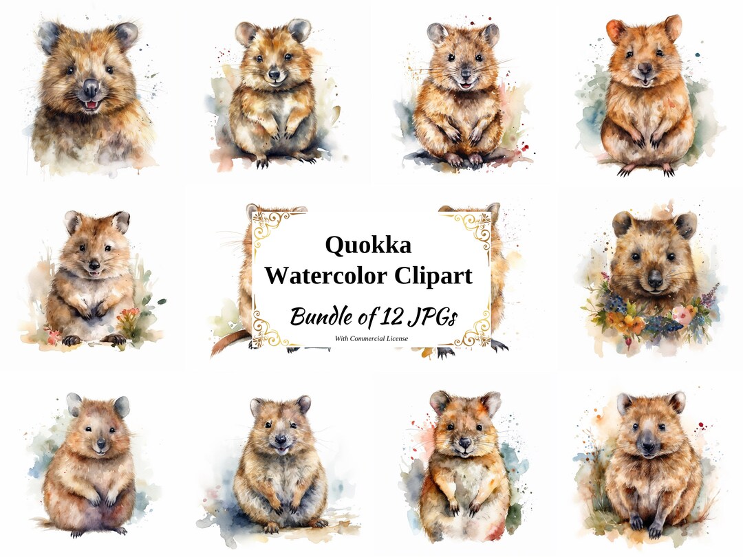Quokka Digital Clipart Pack - 12 High Quality Jpgs - Digital Download ...