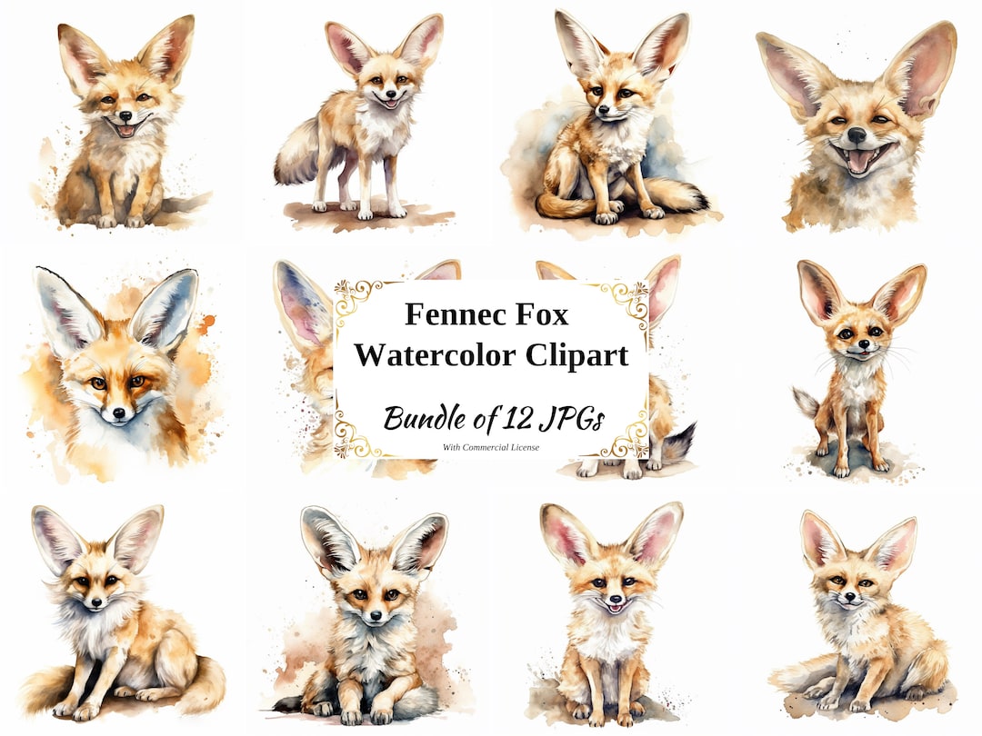 Fennec Fox Digital Clipart Pack - 12 High Quality Jpgs - Digital ...