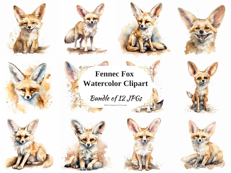 Fennec Fox Digital Clipart Pack 12 High Quality Jpgs - Etsy