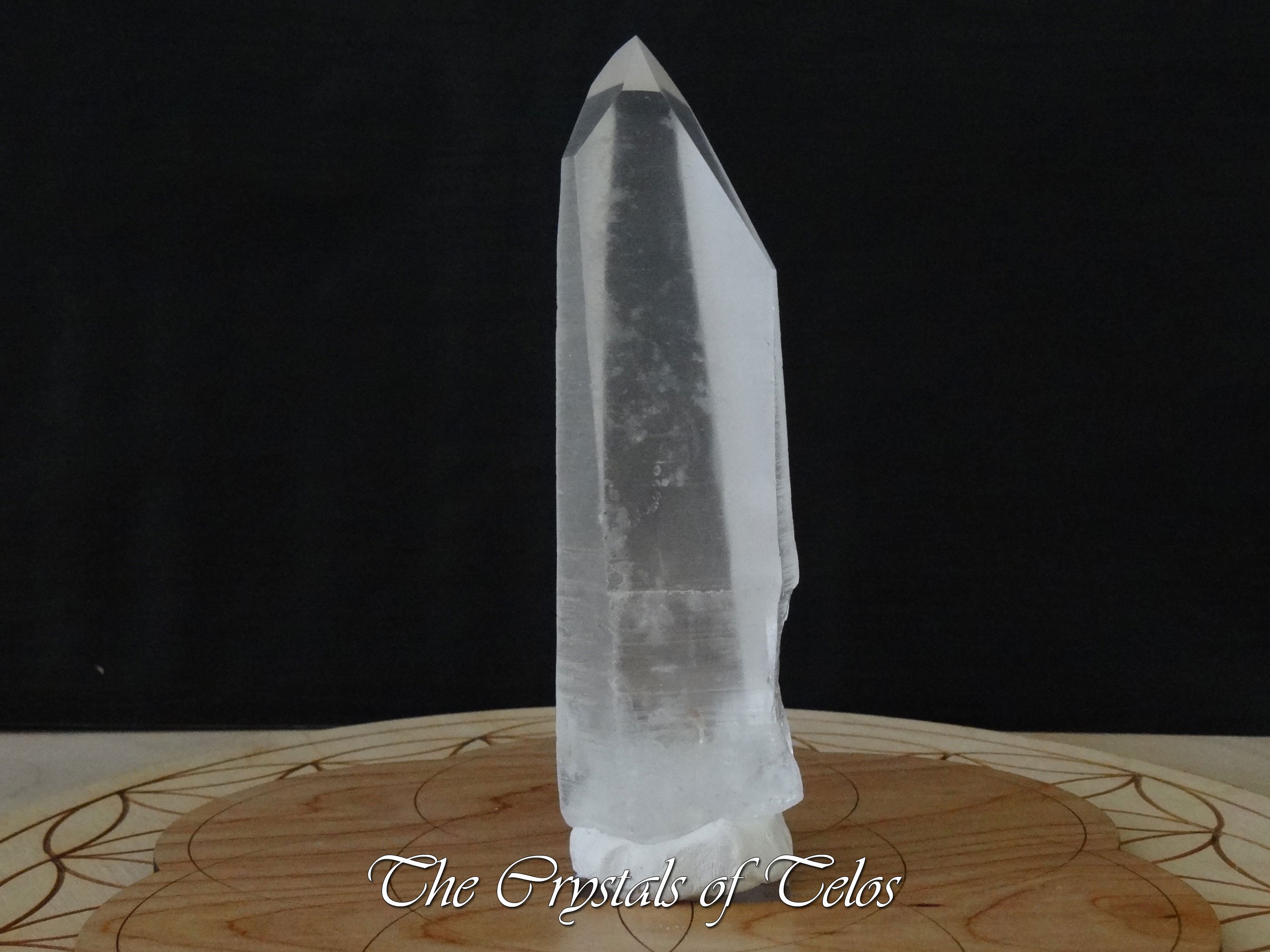 Lemurian Star Seed Crystal Trans-channeler: DOW 7-3-7-3-7-3 296g, 6 ...
