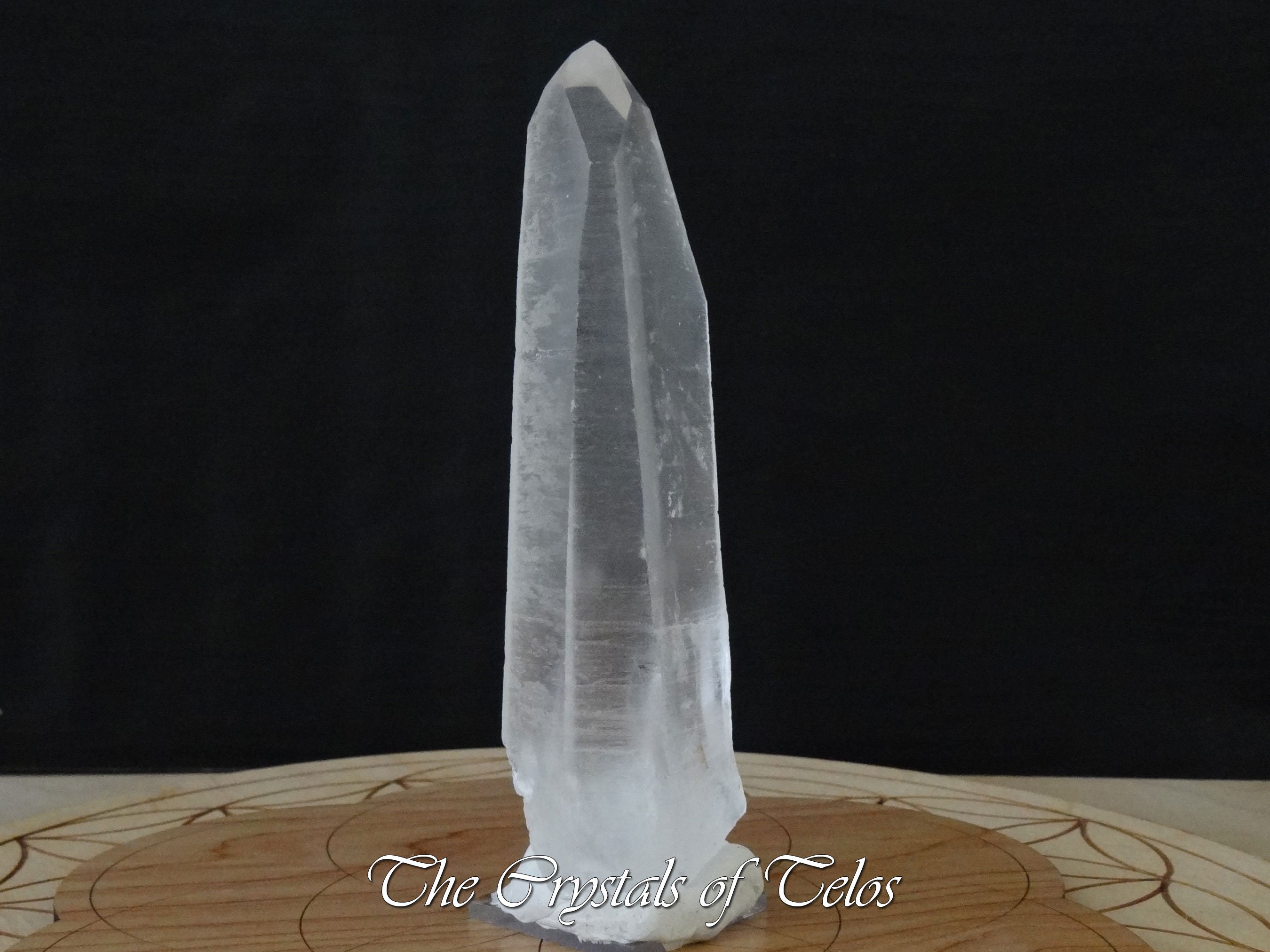 Lemurian Star Seed Crystal Trans-channeler: DOW 7-3-7-3-7-3 296g, 6 ...