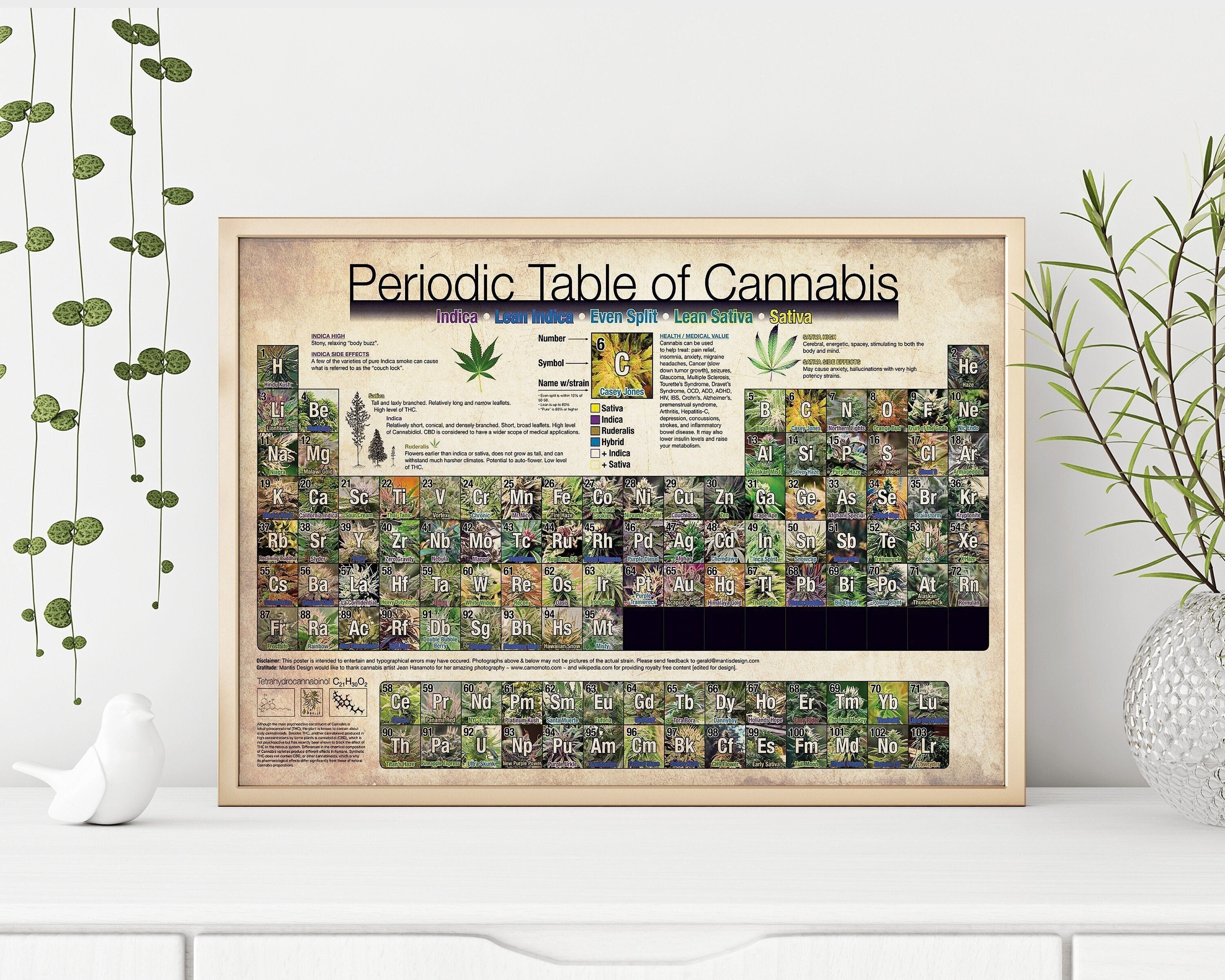 Weed Names Poster