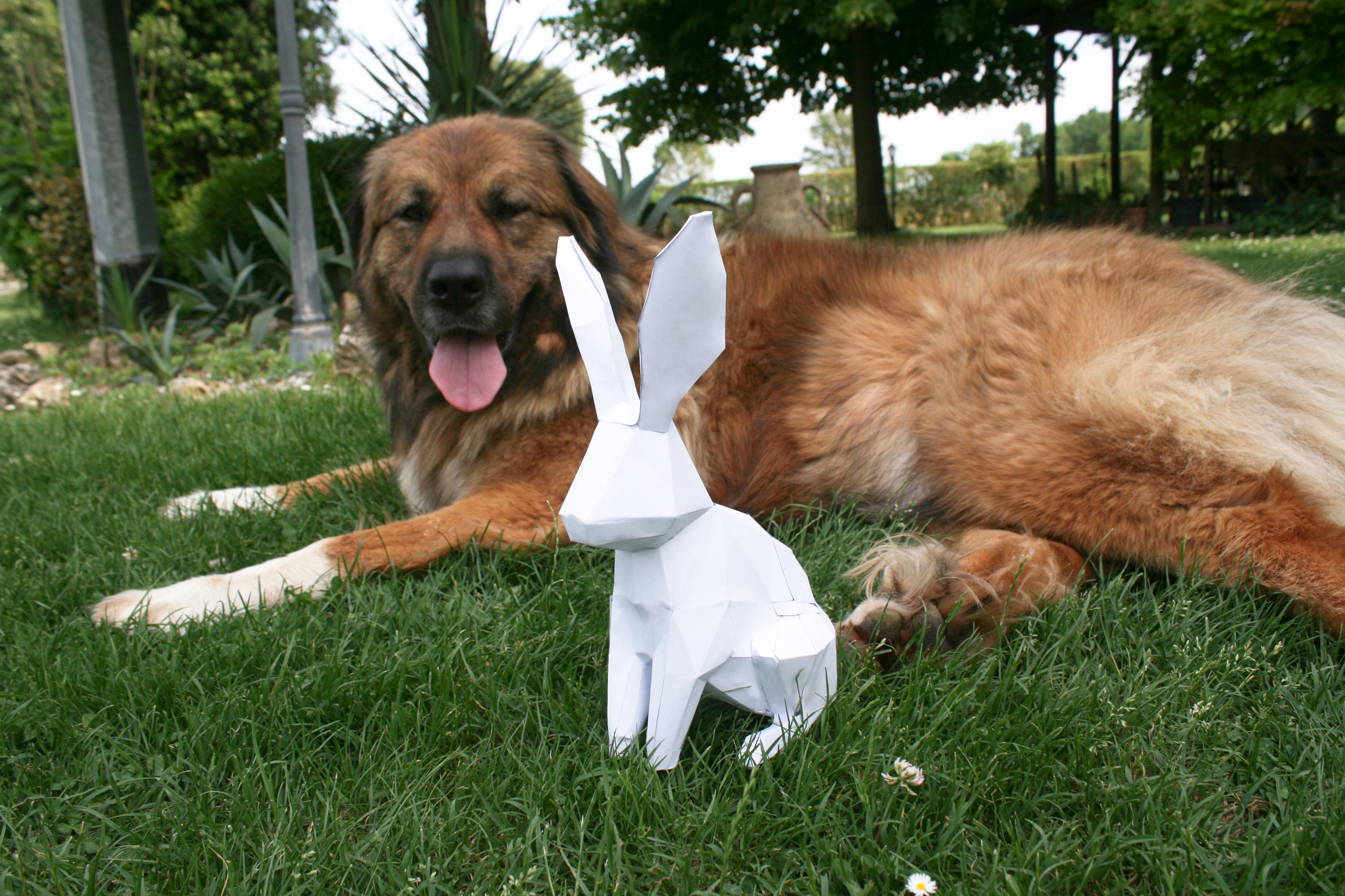 Geometric Rabbit Papercraft, 3D Paper Sculpture (PDF Pattern) - Etsy