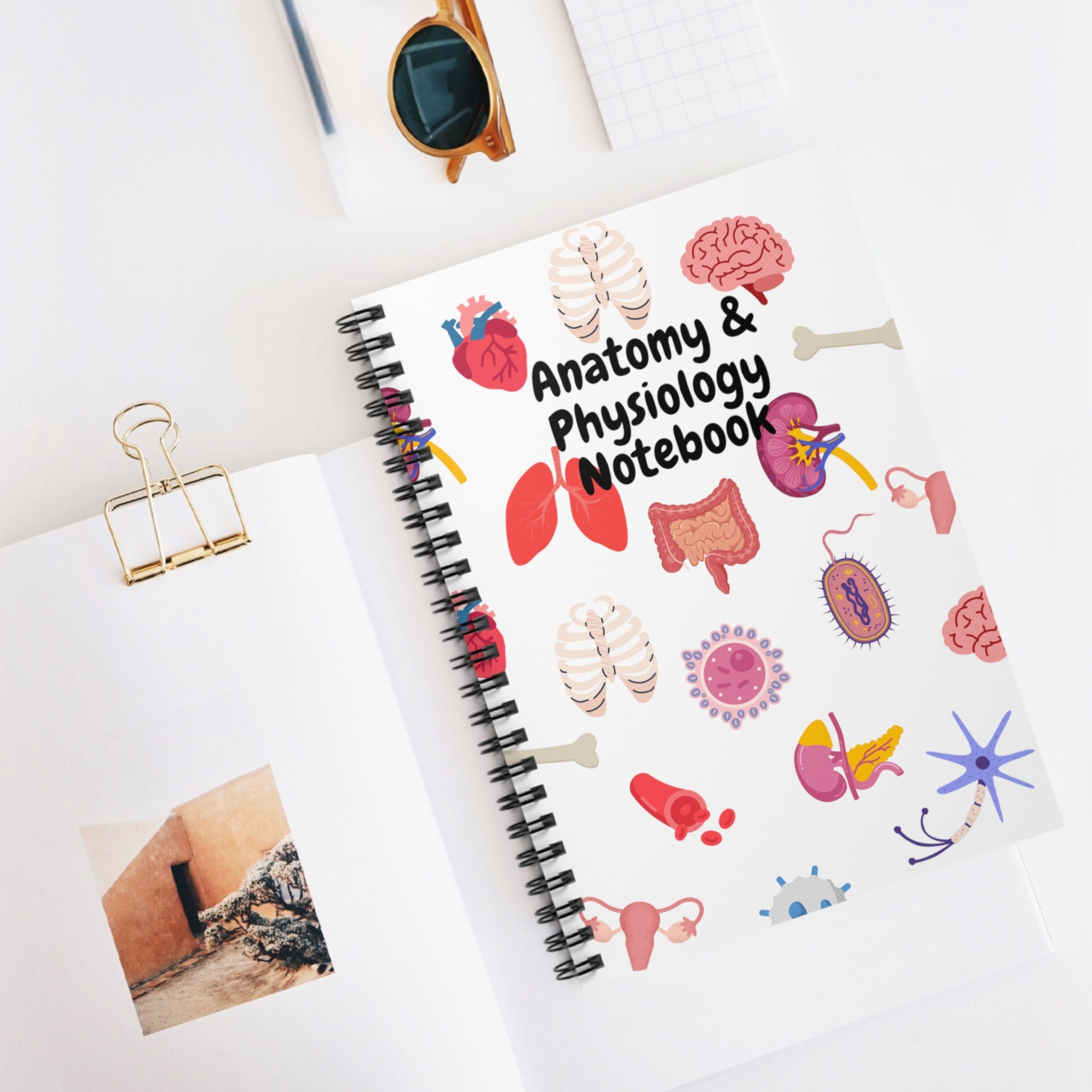 Anatomy and Physiology Notebook, Nursing Student Journal, Human Anatomy ...