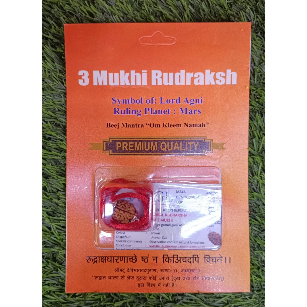 3 Mukhi Rudraksha Mala – Original Three Face Mala for Inner Strength ...