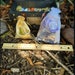 Crow Core Crows Nest Scoop Trinkets Grab-bag Crow-junk - Etsy