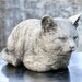 Concrete Cat Statue Detailed Cat Figurine Garden Backyard or Patio ...