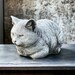 Concrete Cat Statue Detailed Cat Figurine Garden Backyard or Patio ...