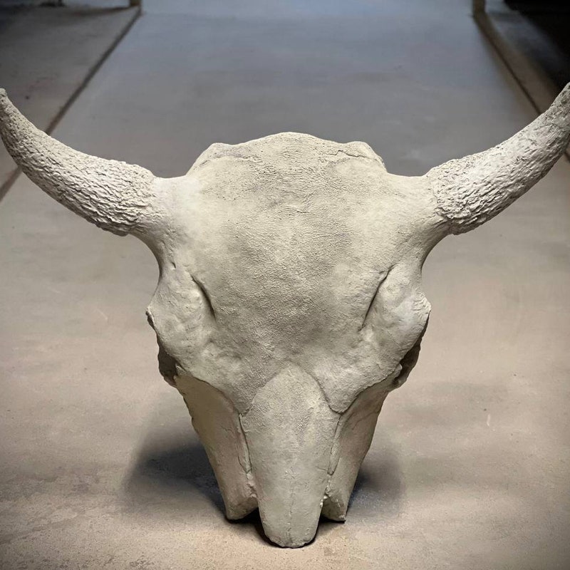 Buffalo Skull - Etsy