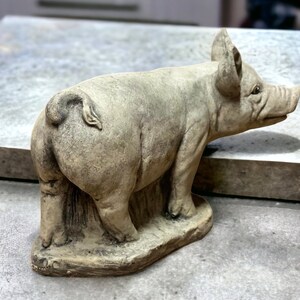 Detailed Standing Pig Statue Concrete Pig Figurine Realistic Farm ...