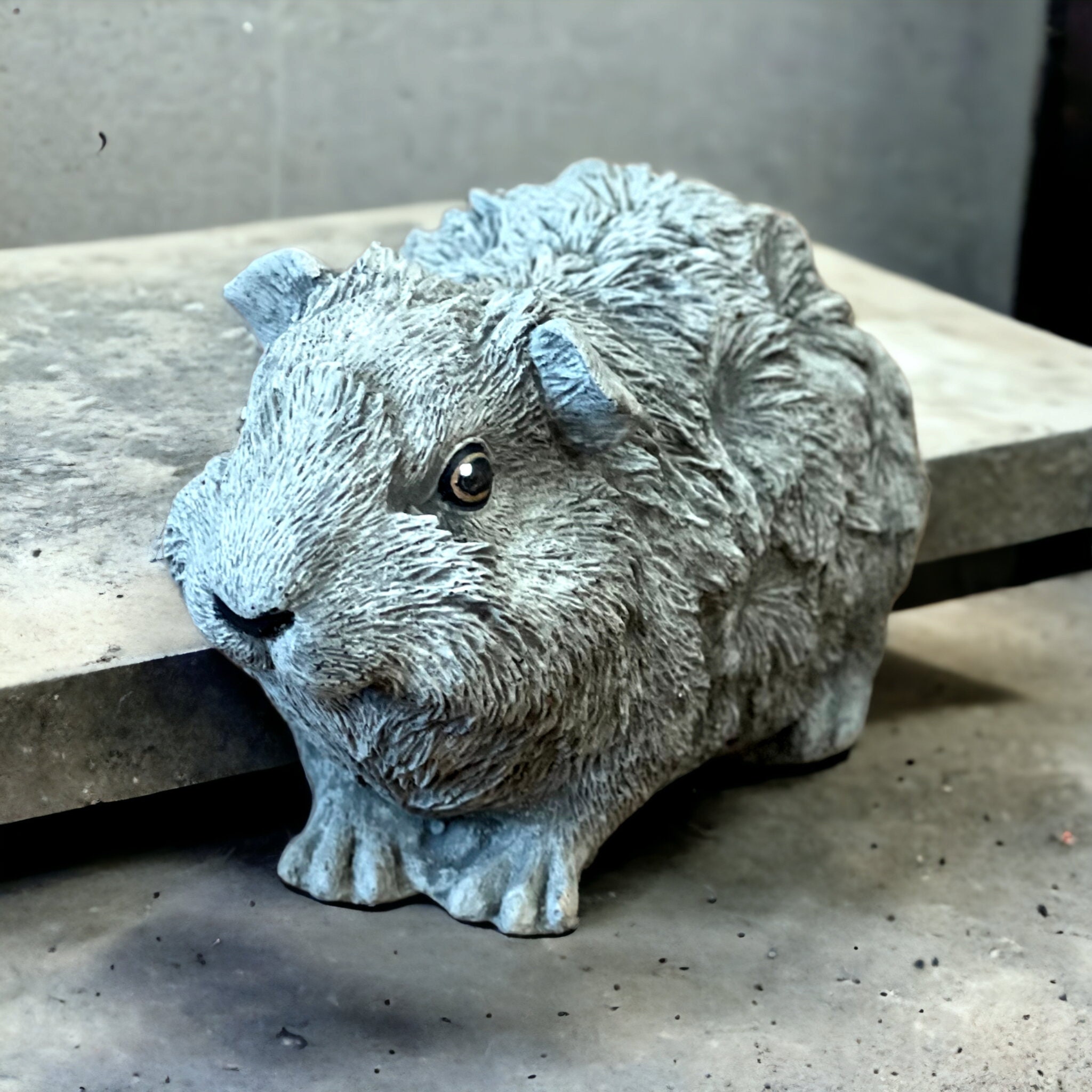 Standing Guinea Pig Statue Concrete Guinea Pig Figure Outdoor - Etsy
