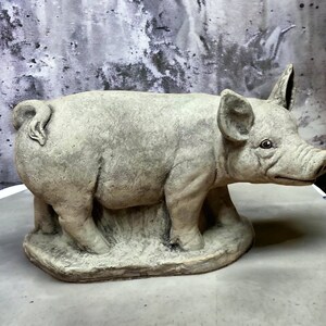 Detailed Standing Pig Statue Concrete Pig Figurine Realistic Farm ...