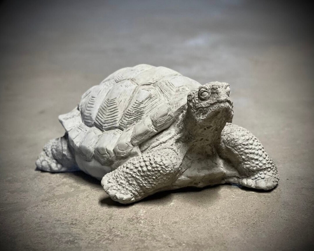Concrete Turtle Statue Detailed Massive Turtle Figure Outdoor or Indoor ...
