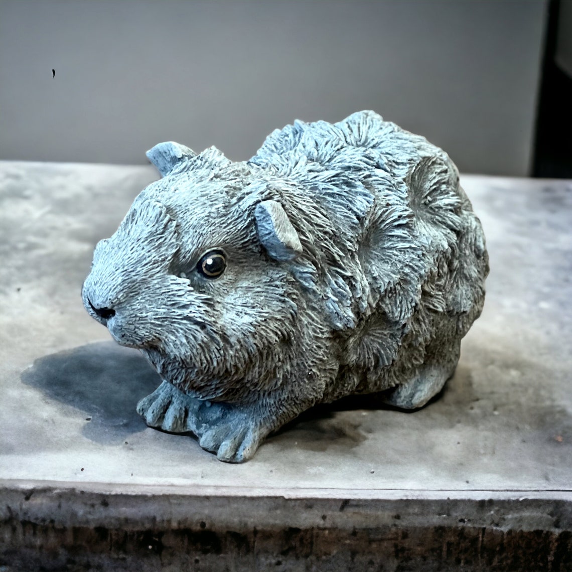 Standing Guinea Pig Statue Concrete Guinea Pig Figure Outdoor - Etsy