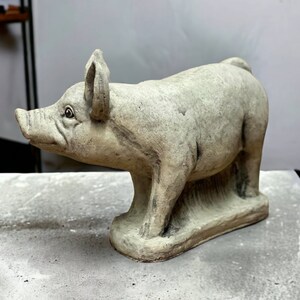 Detailed Standing Pig Statue Concrete Pig Figurine Realistic Farm ...