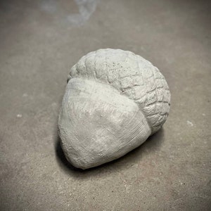 Detailed Acorn Statue Concrete Acorn Figurine Garden Backyard or Patio ...