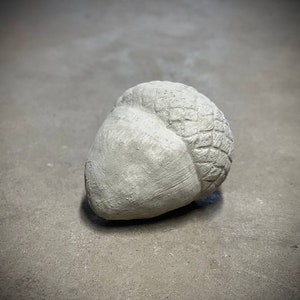 Detailed Acorn Statue Concrete Acorn Figurine Garden Backyard or Patio ...