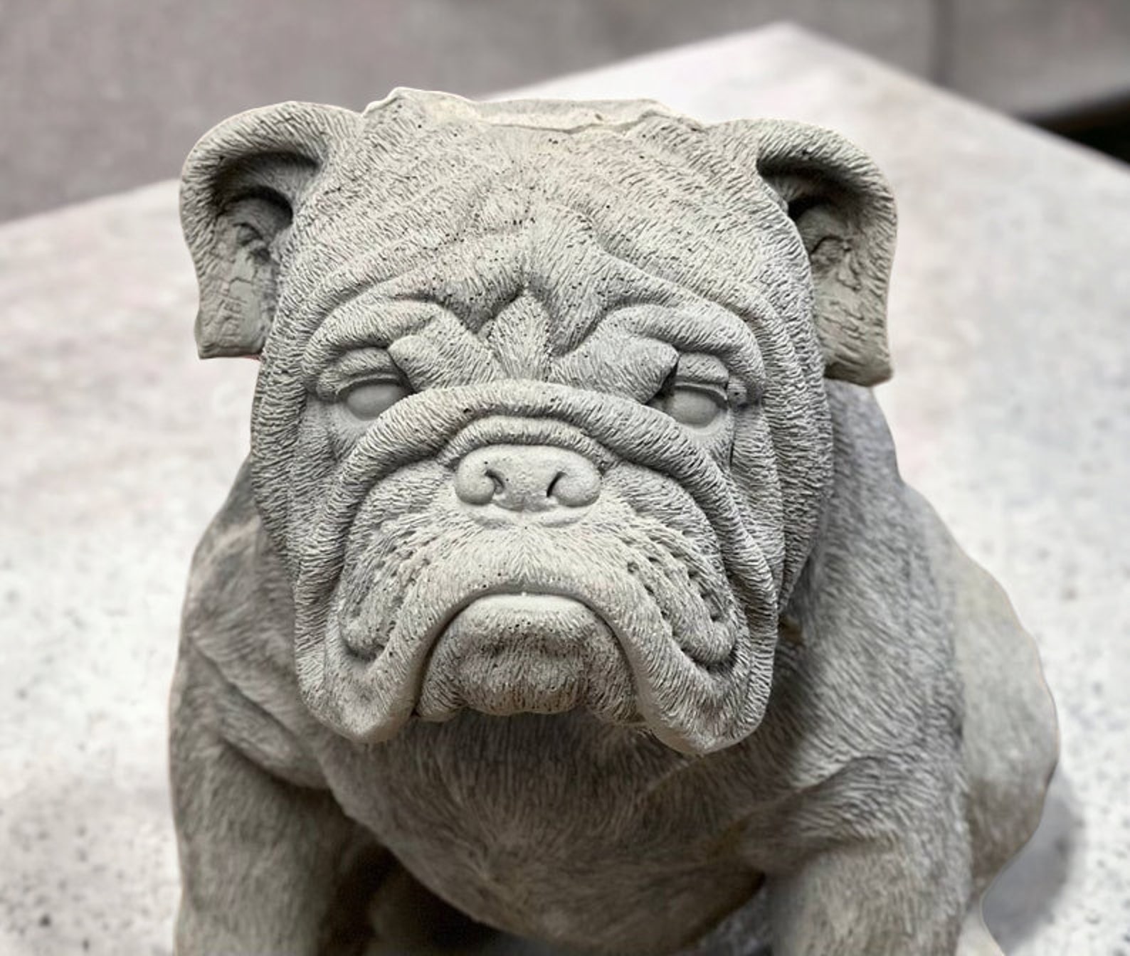 Massive Bulldog Statue Concrete Bulldog Memorial Sculpture - Etsy