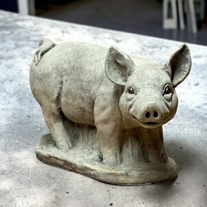 Detailed Standing Pig Statue Concrete Pig Figurine Realistic Farm ...