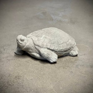 Realistic Diamondback Turtle Sculpture Concrete Stone Diamondback ...