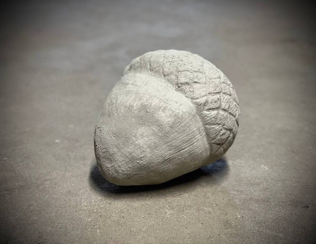 Detailed Acorn Statue Concrete Acorn Figurine Garden Backyard or Patio ...