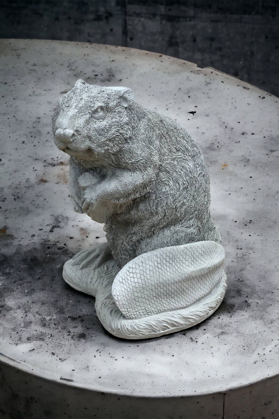 Concrete Beaver Statue Backyard Wild Beaver Figurine Outdoor or Indoor ...
